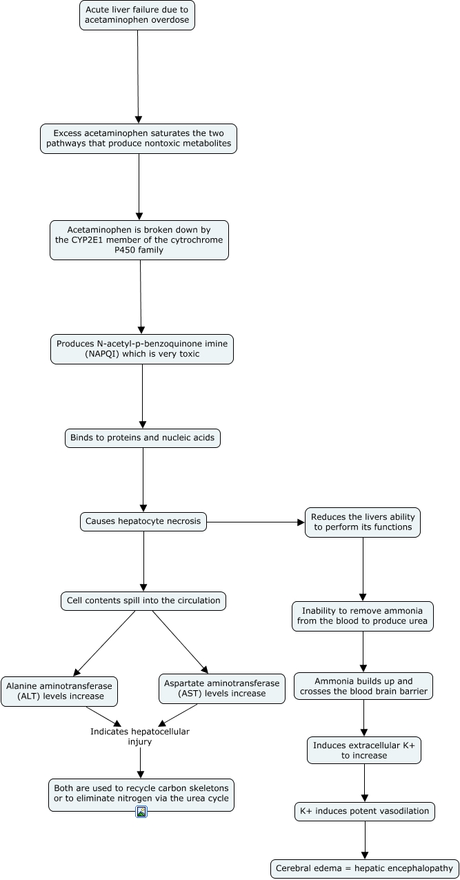 Acute Liver Failure Due To Acetaminophen Overdose